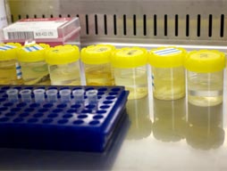 Subjects and programs